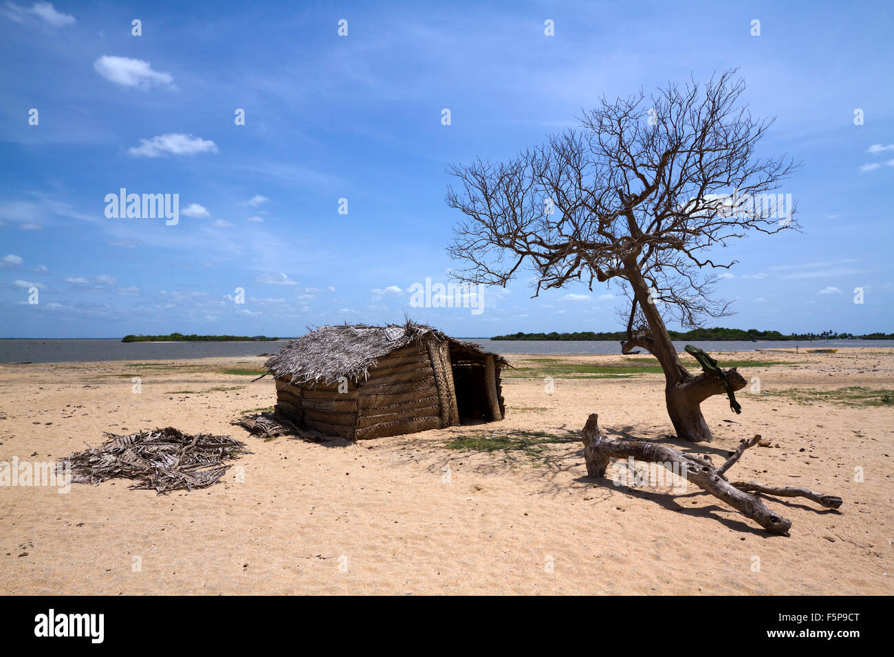 Pulmoddai hi-res stock photography and images - Alamy