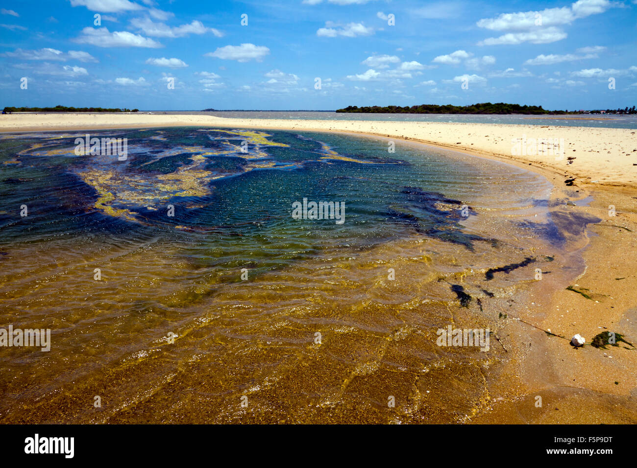 Pulmoddai hi-res stock photography and images - Alamy
