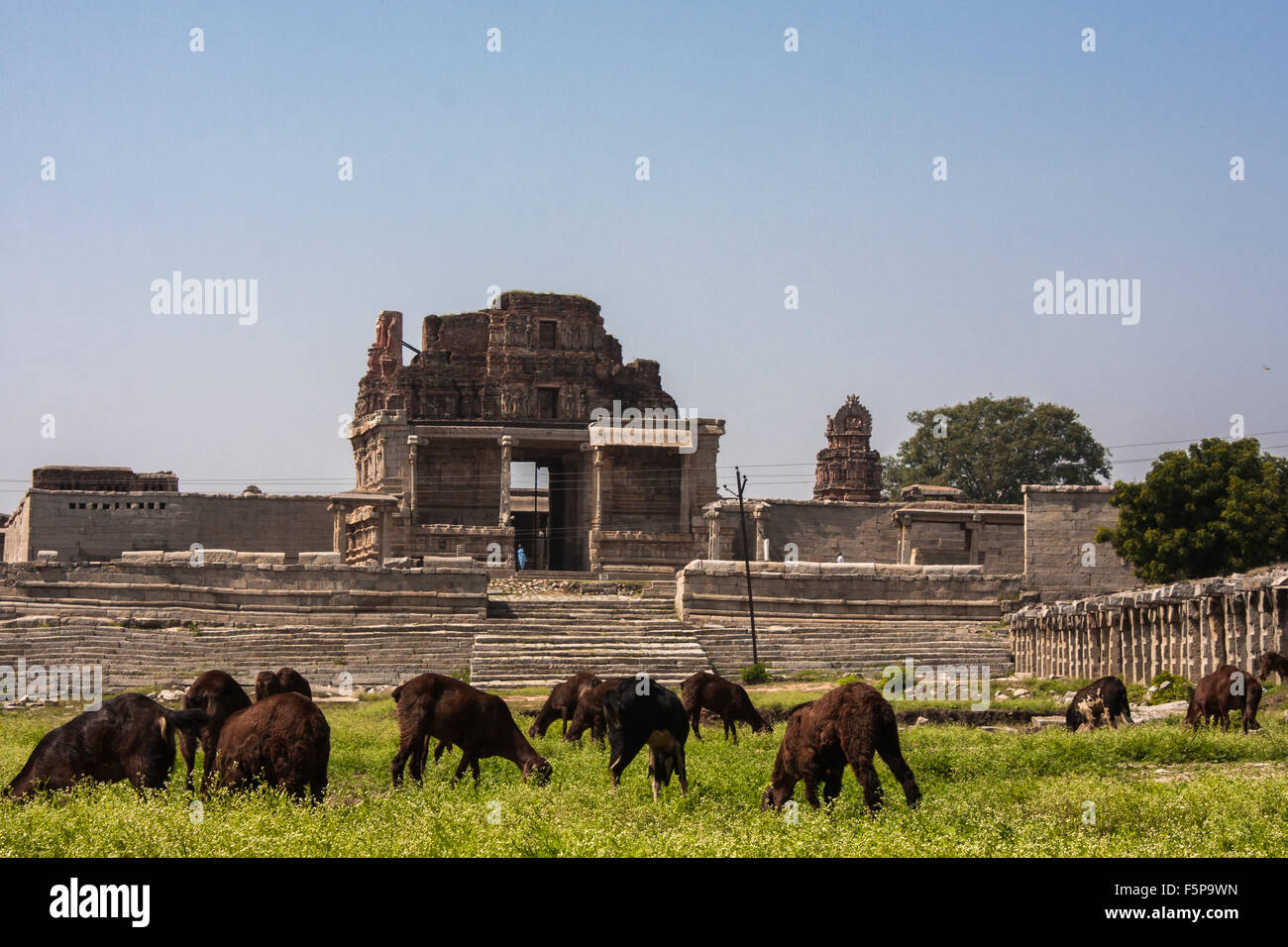 Krishna temple Complex at Hampi ruins, Karnataka Stock Photo - Alamy