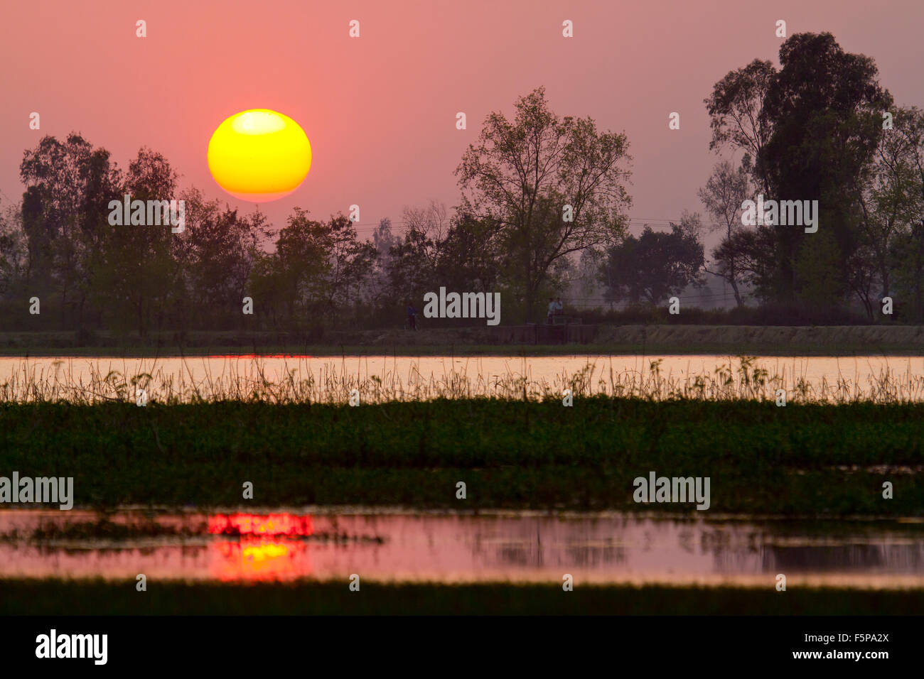 Sunset in Badiya lake, nature reserve of Nepal Stock Photo - Alamy