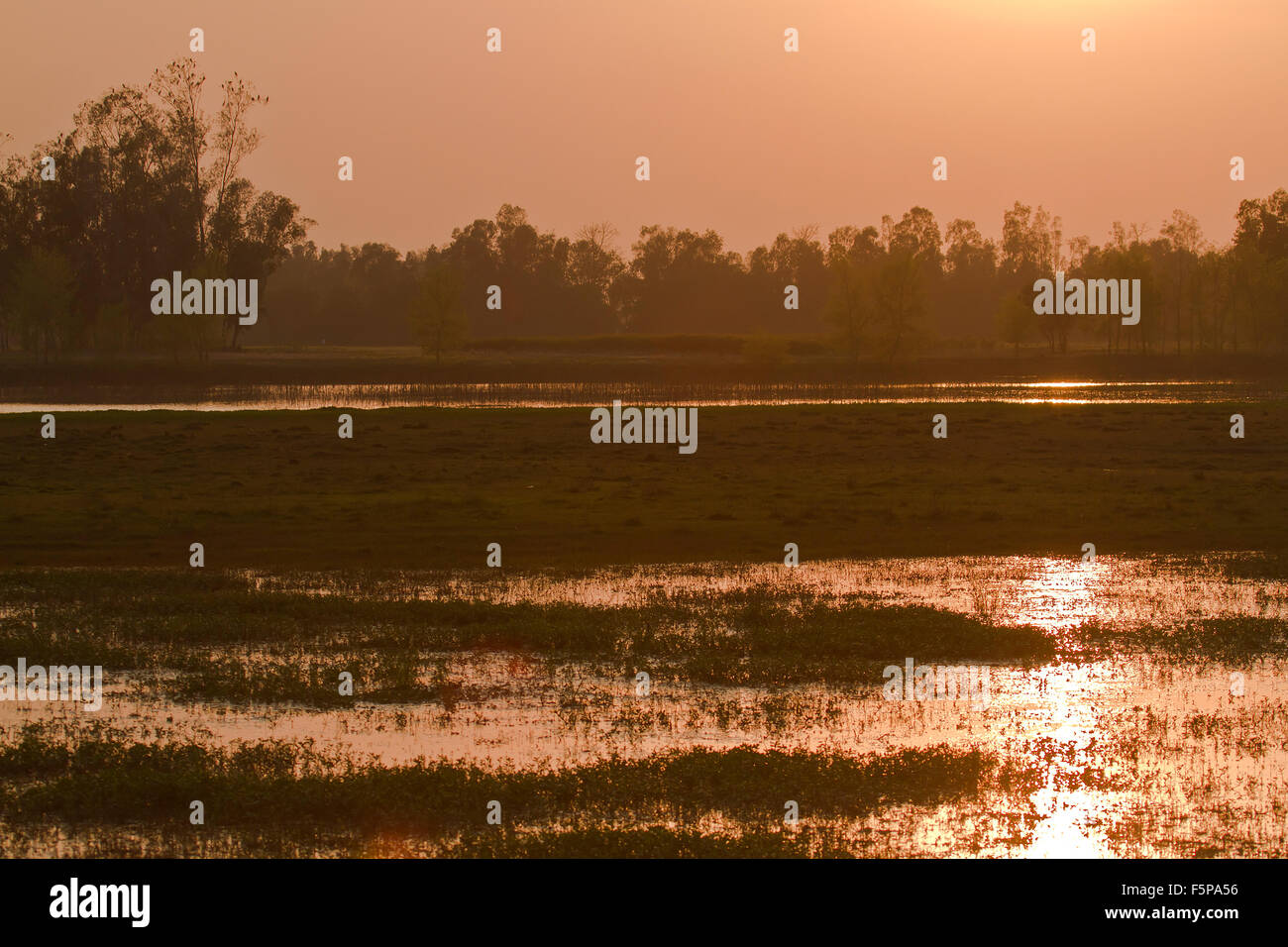 Sunset in Badiya lake, nature reserve of Nepal Stock Photo - Alamy