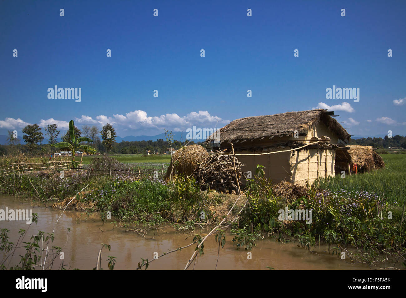 Terai area hi-res stock photography and images - Alamy