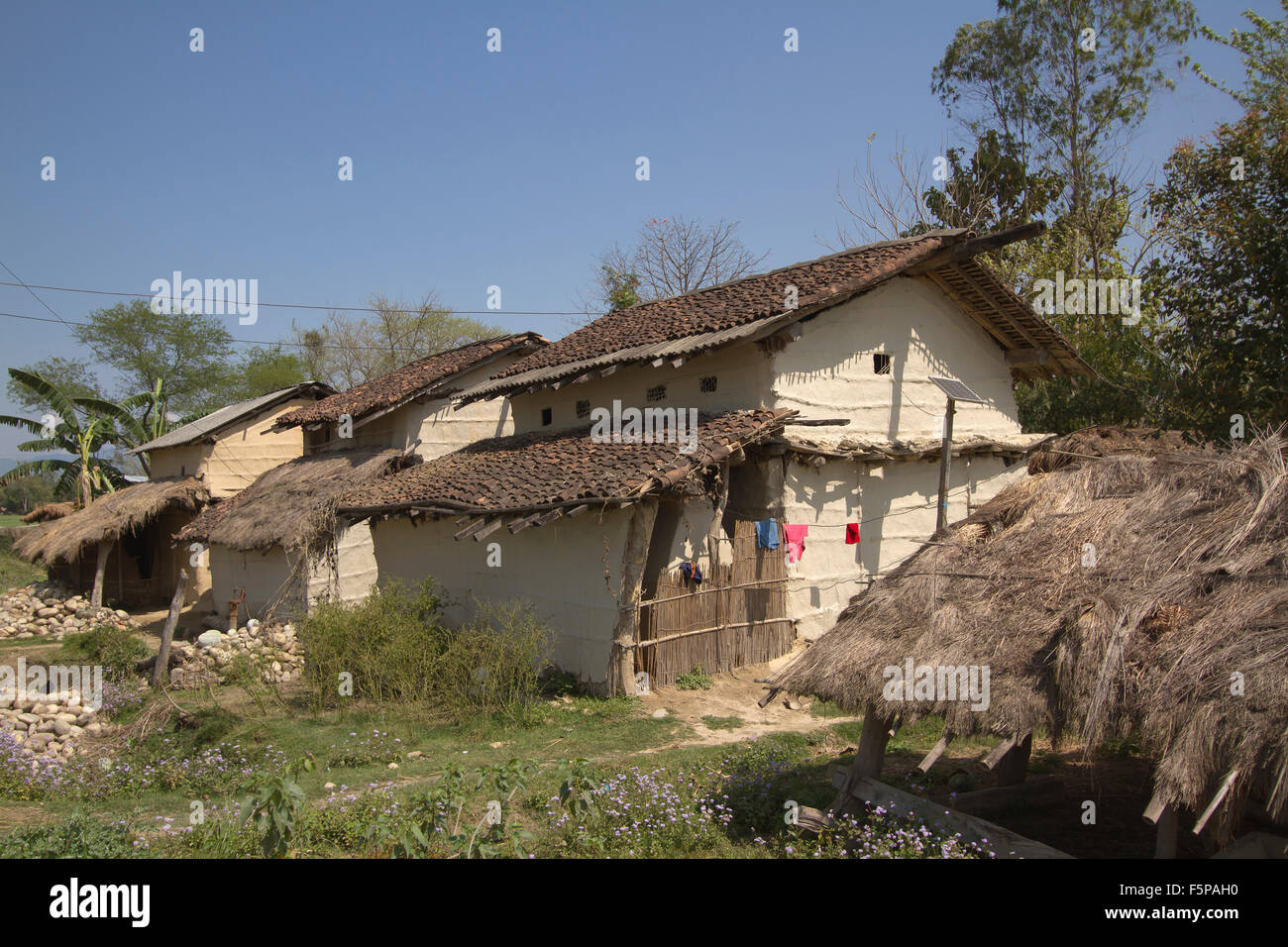 Terai hi-res stock photography and images - Alamy