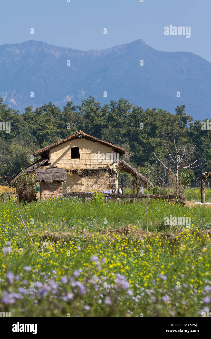Traditional landscape in nepali terai Stock Photo - Alamy