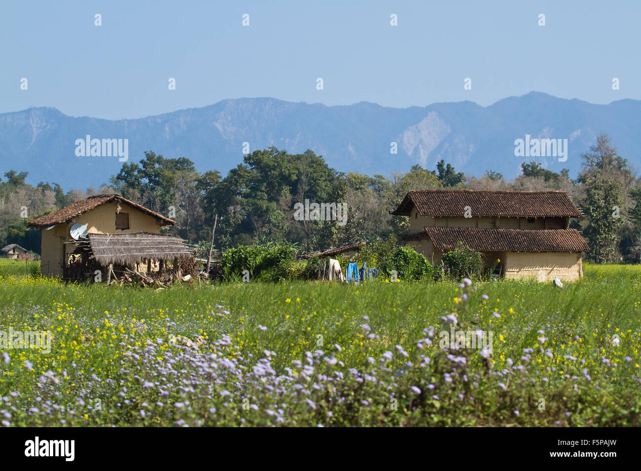 Terai Area Stock Photos & Terai Area Stock Images - Alamy