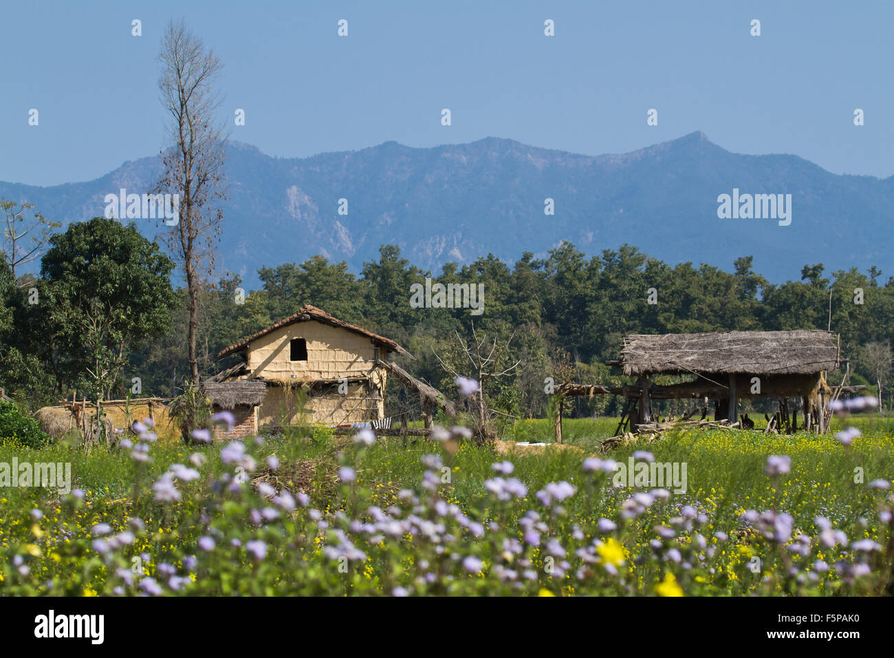 Traditional landscape in nepali terai Stock Photo - Alamy