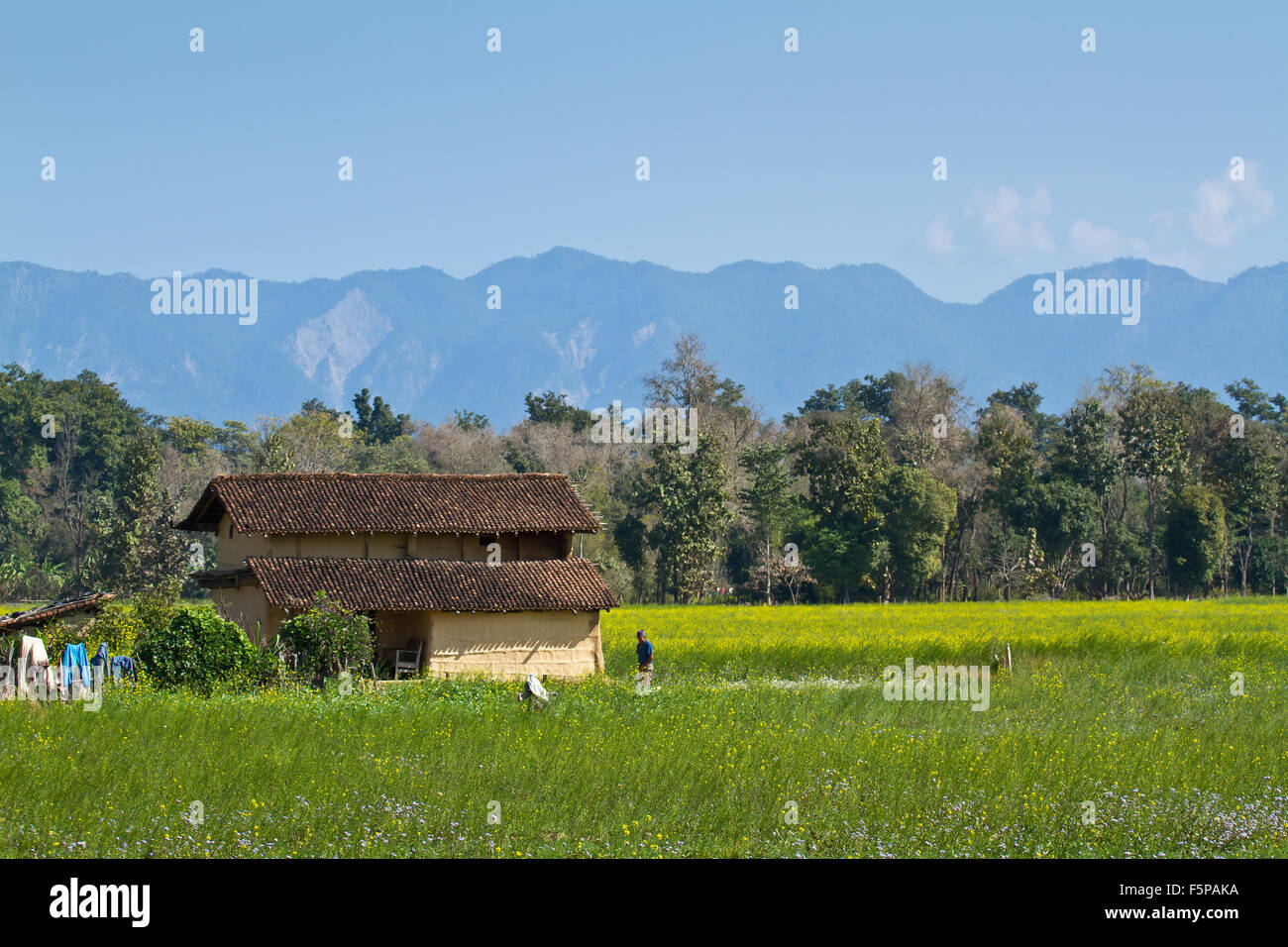 Traditional landscape in nepali terai Stock Photo - Alamy
