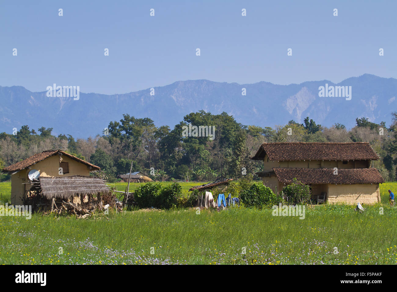 Traditional landscape in nepali terai Stock Photo - Alamy