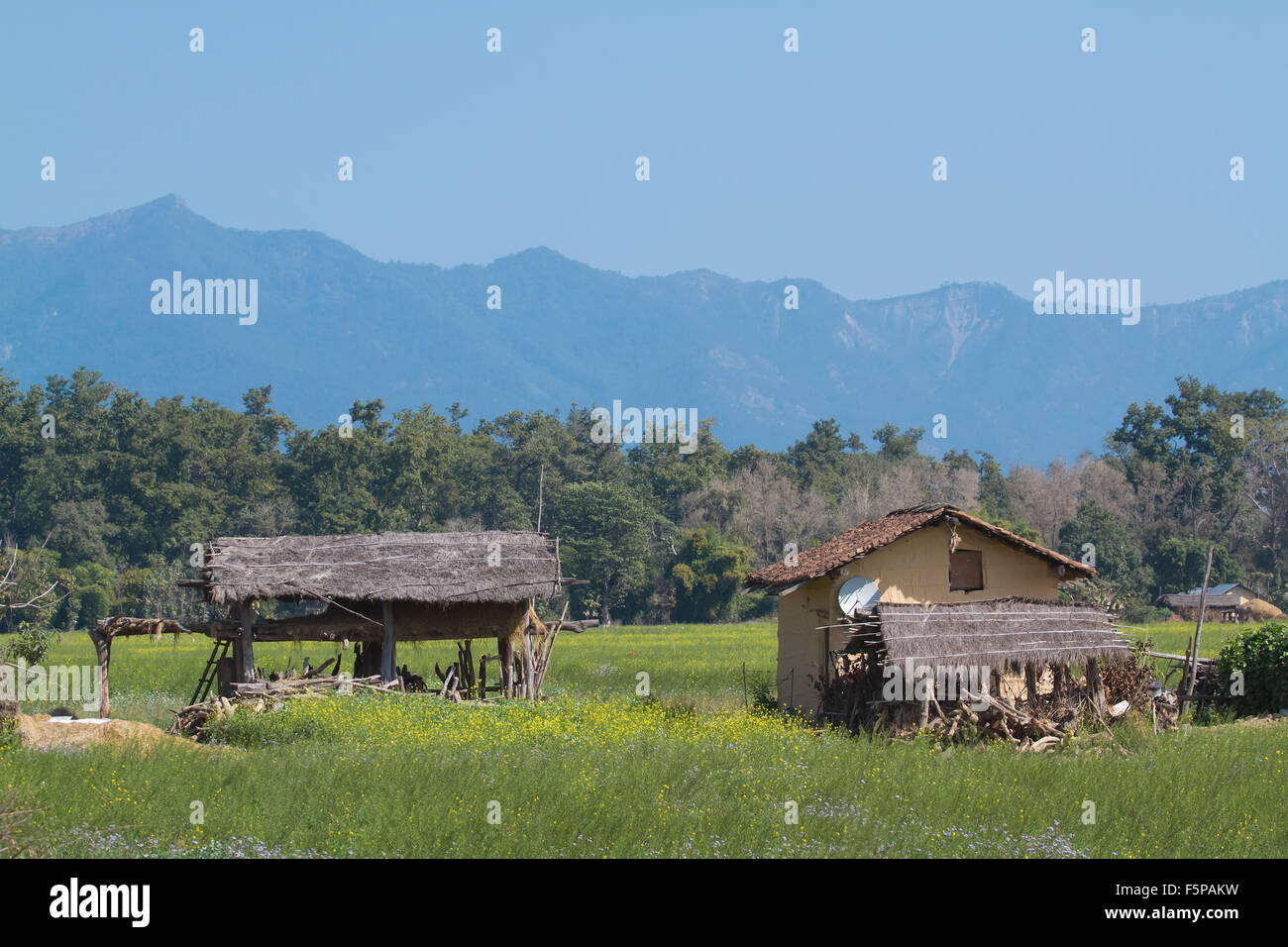 Traditional landscape in nepali terai Stock Photo - Alamy
