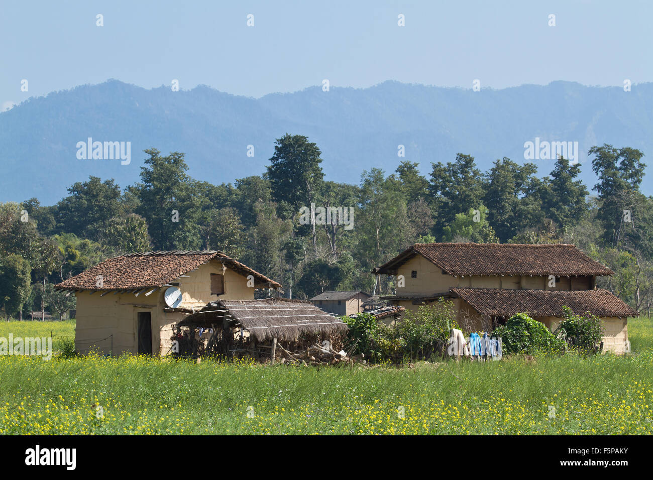 Traditional landscape in nepali terai Stock Photo - Alamy