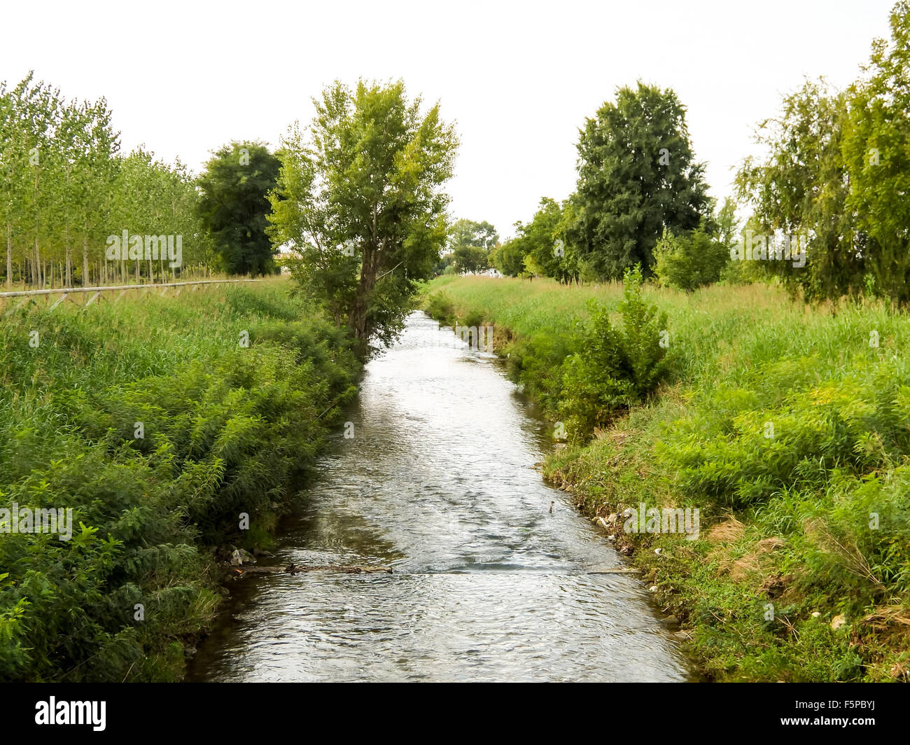 Wild Brenta River Stock Photo - Alamy