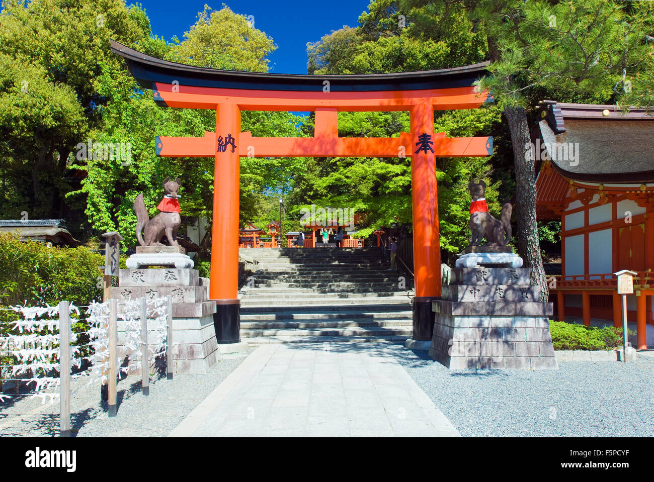 Orange tori in Fushimi Inari Taisha Shrine in Kyoto Japan on a clear ...