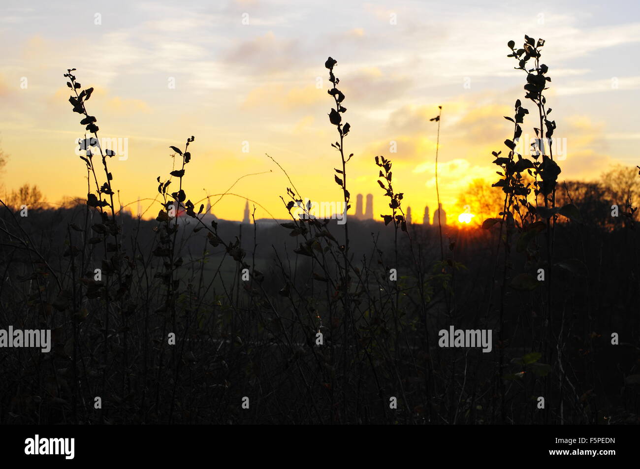 Sunset Munich, Parkview, Bavaria, Germany, Europe Stock Photo - Alamy