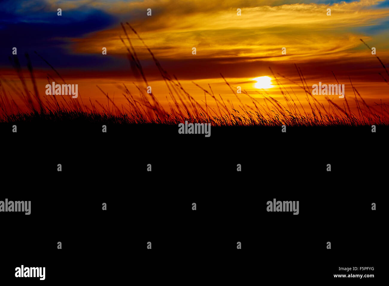 Sunset in the steppe Stock Photo - Alamy