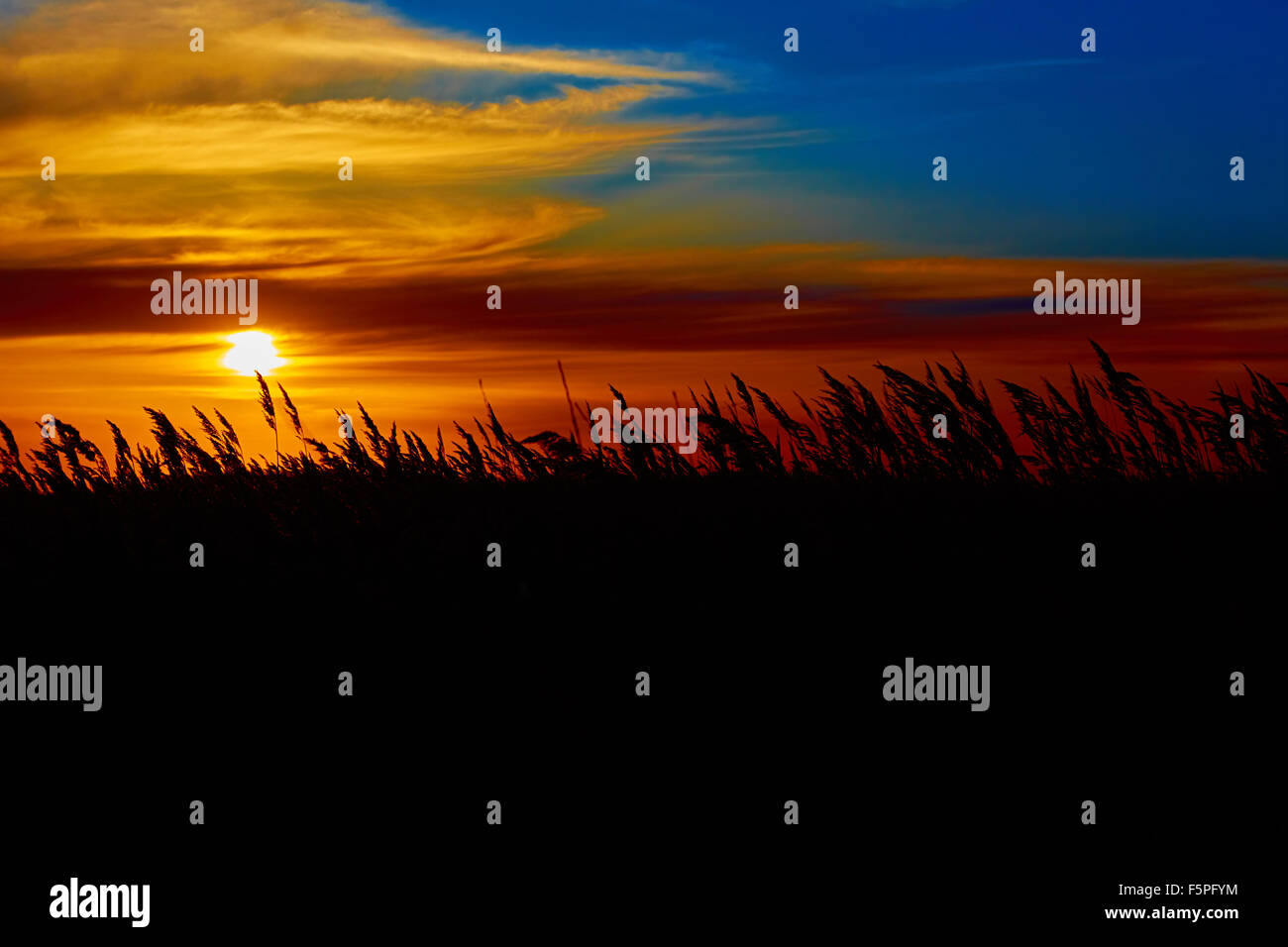 Sunset in the steppe Stock Photo - Alamy