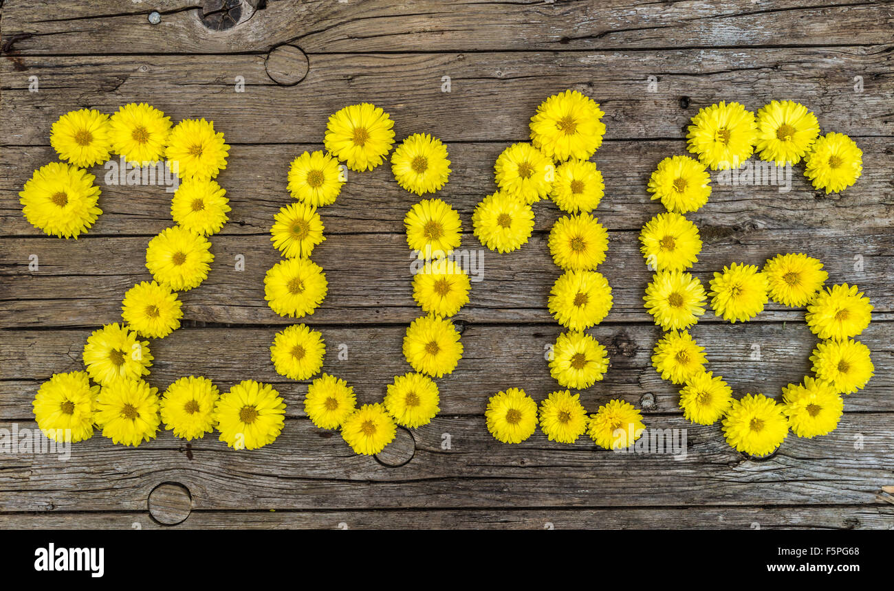 2016 flowers hi-res stock photography and images - Alamy