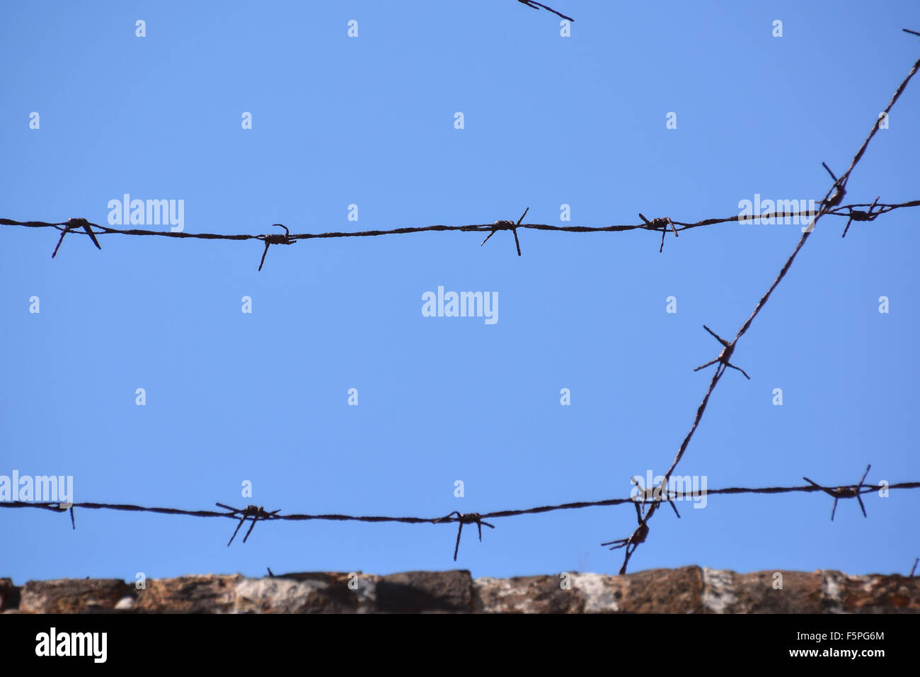 Dangerous Barbed Wire Stock Photo - Alamy