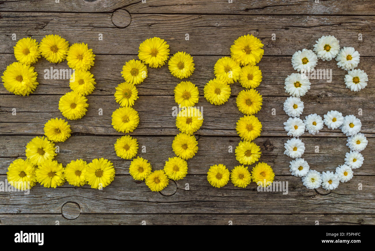 2016 flowers hi-res stock photography and images - Alamy