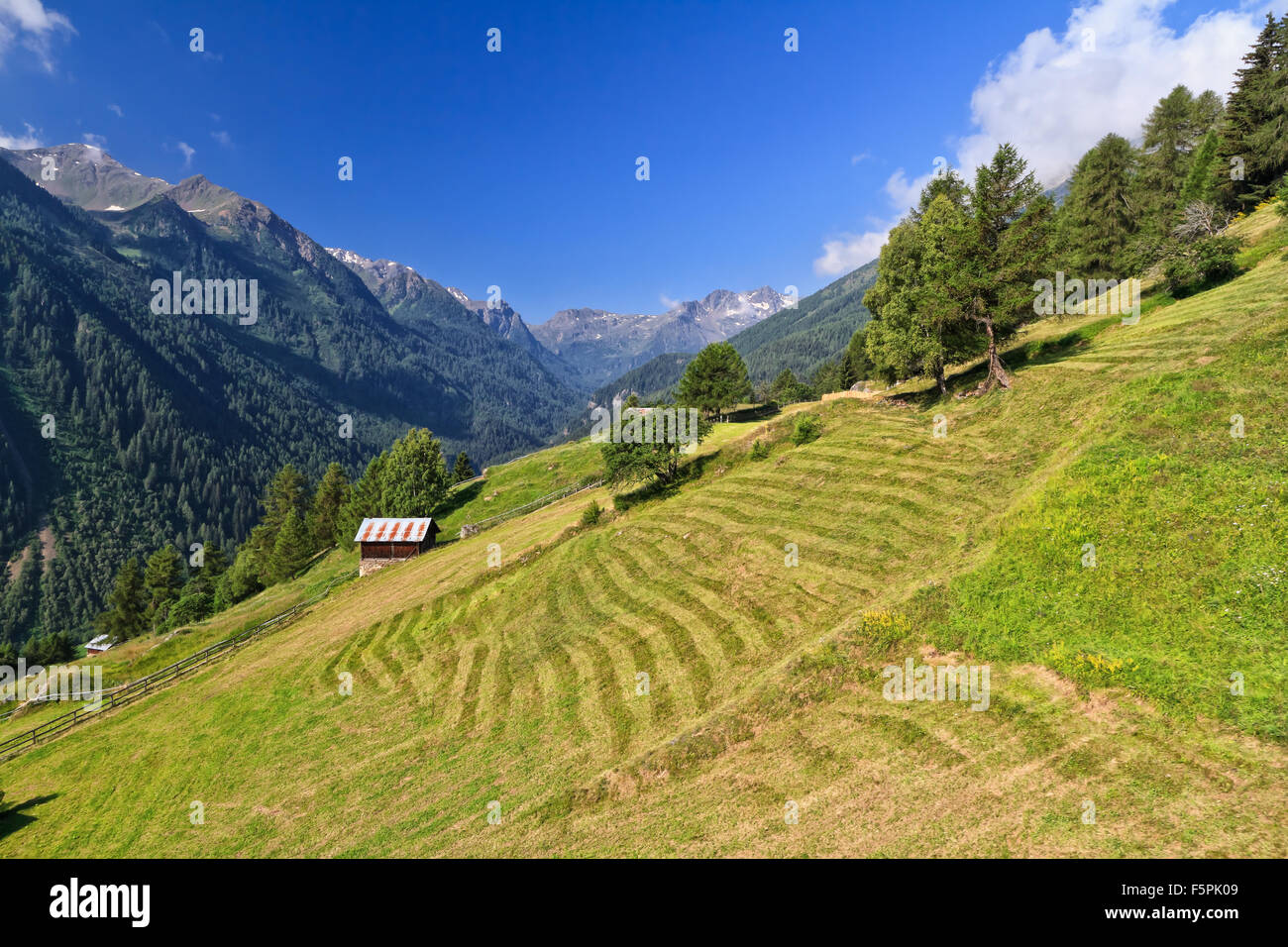 Pejo hi-res stock photography and images - Alamy