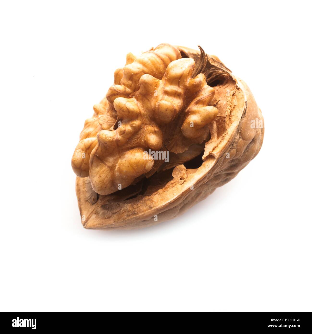 Walnut half in a shell against a white background Stock Photo - Alamy