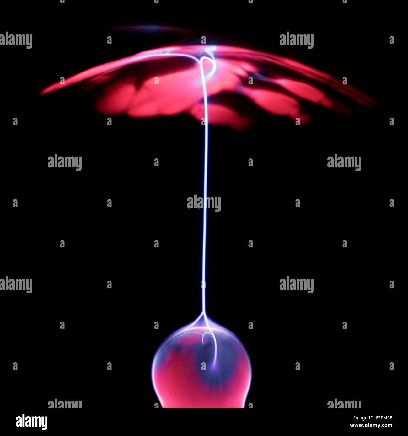 Plasma ball against a black background Stock Photo - Alamy