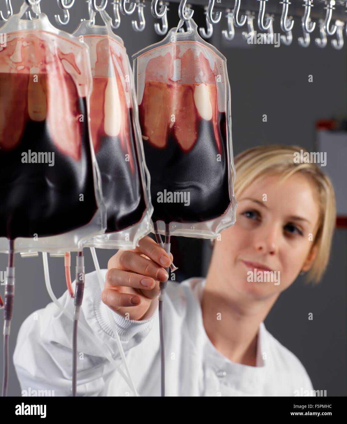 PROPERTY RELEASED. MODEL RELEASED. Laboratory technician monitoring ...