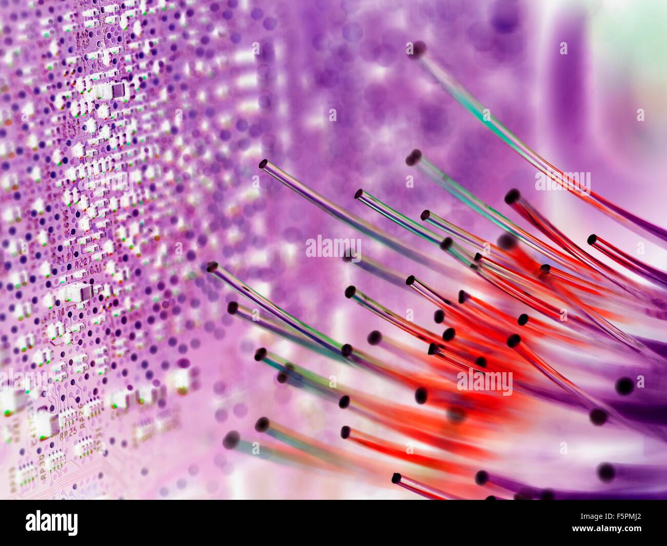 PROPERTY RELEASED. Fibre optics carrying data passing a computer ...