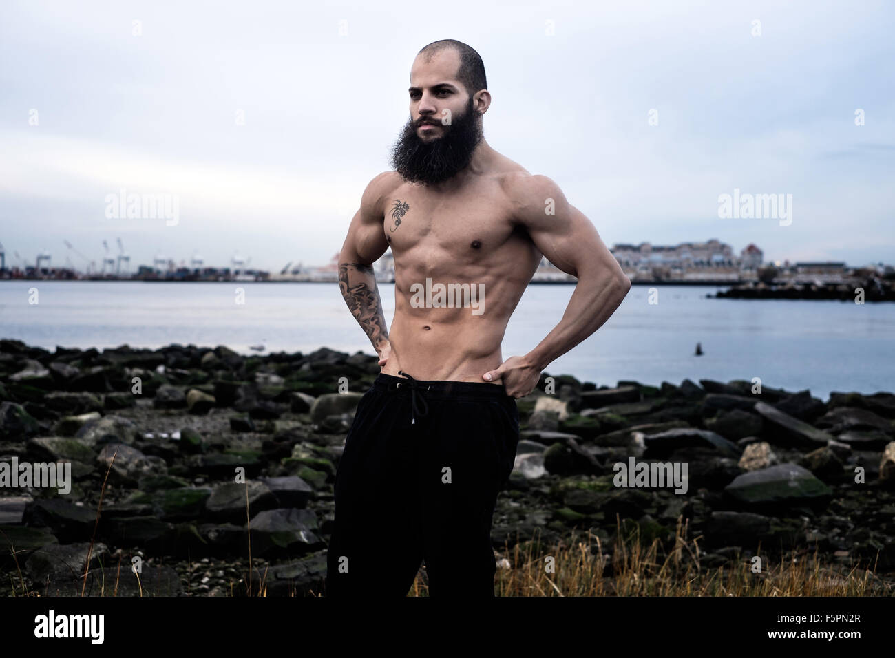 Man with no shirt on flexes abdominal muscles on a rocky beach Stock ...