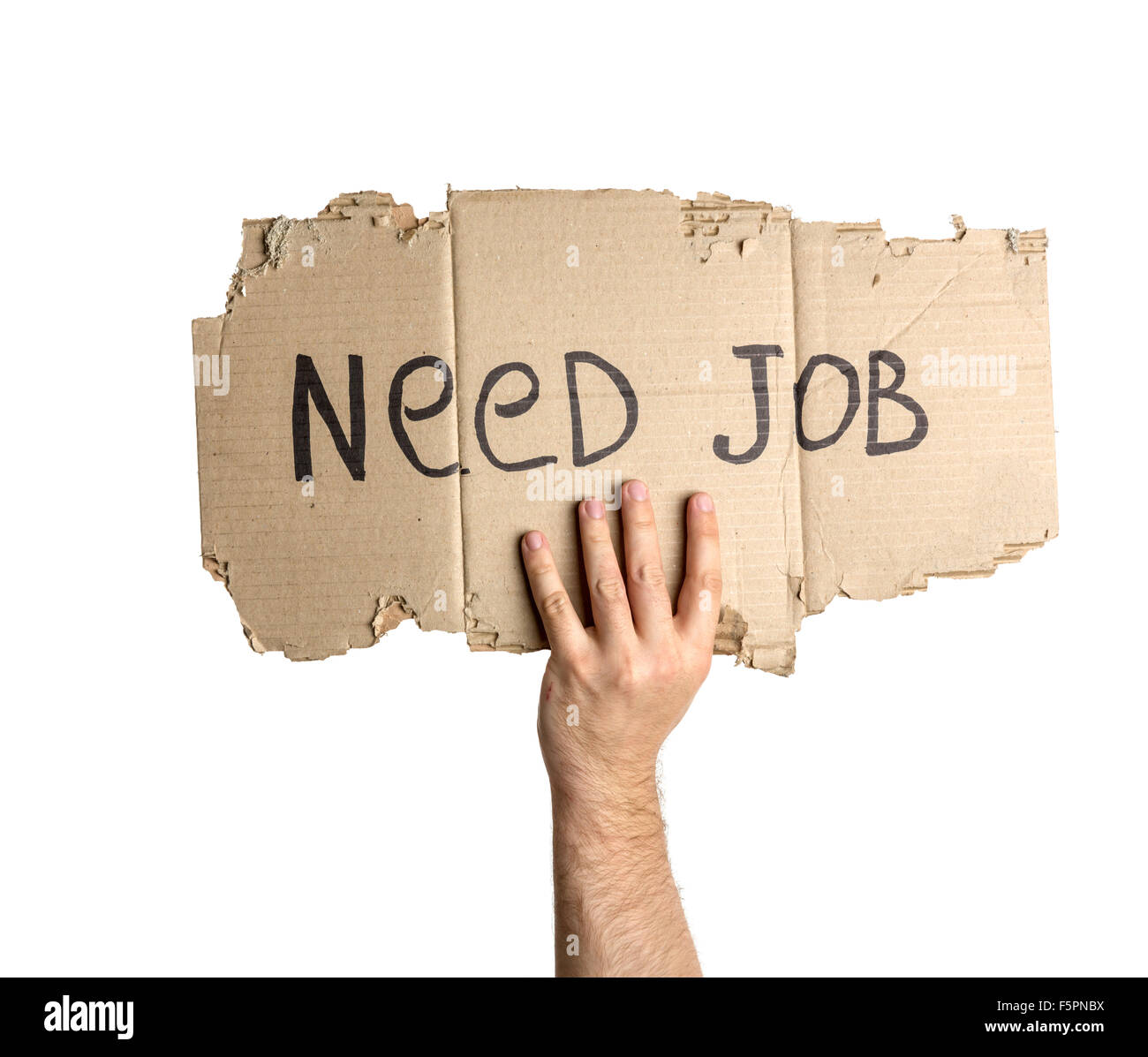 Hand holding corrugated cardboard torn isolated on white Stock Photo ...
