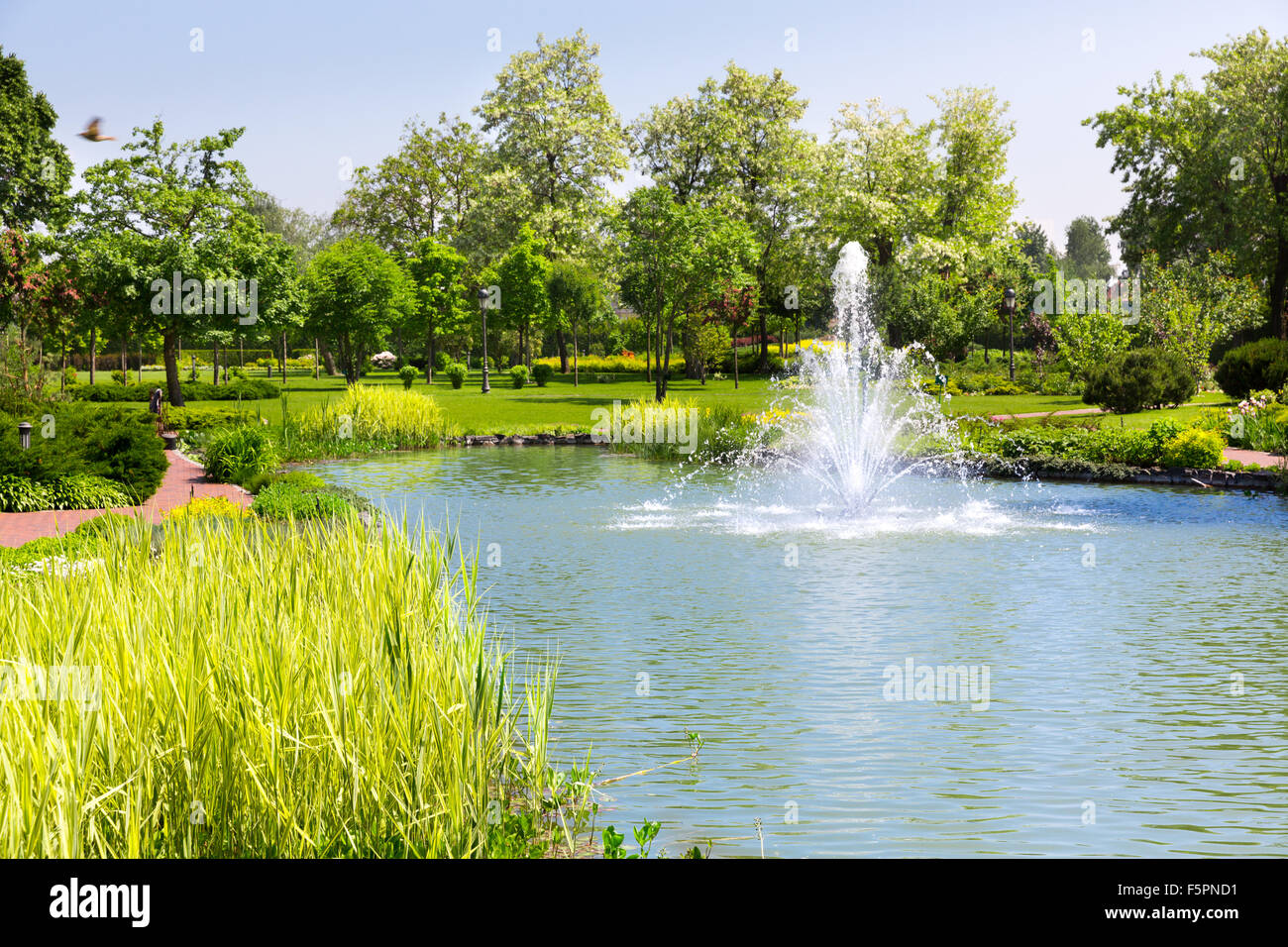 Beautiful lake in spring park with fountain Stock Photo - Alamy