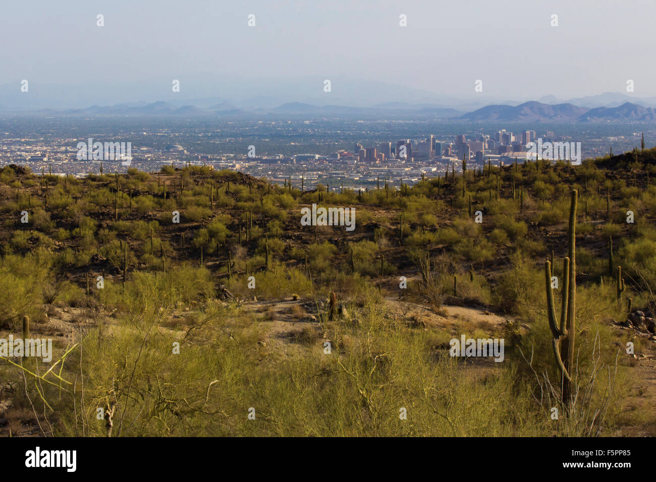 Phoenix AZ skyline from South Mountain Park with desert in foreground ...