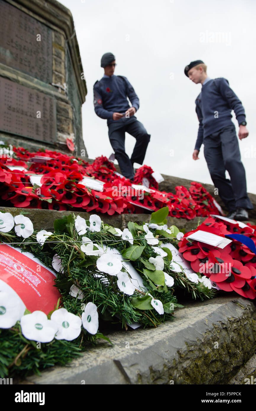 Welsh poppy on white hi-res stock photography and images - Alamy