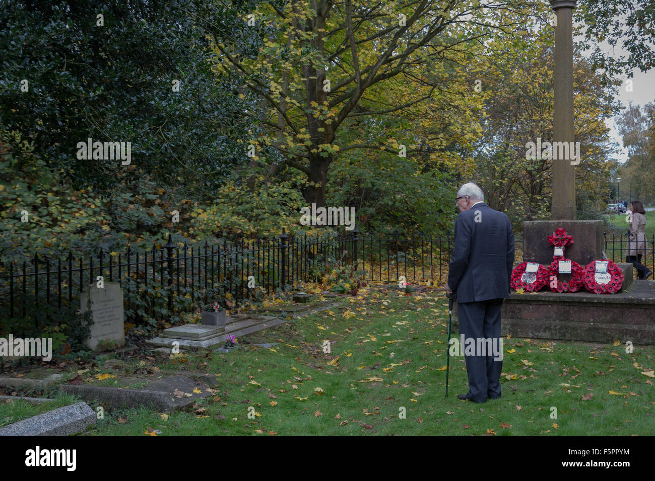 Ham, Surrey, UK. 08th Nov, 2015. An RAF veteran with a walking stick ...