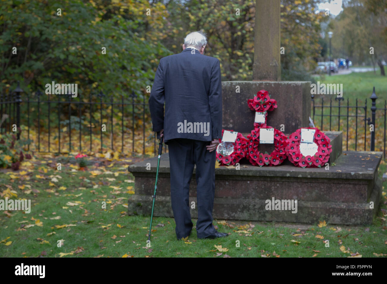 Ham, Surrey, UK. 08th Nov, 2015. A lone RAF veteran with a walking ...