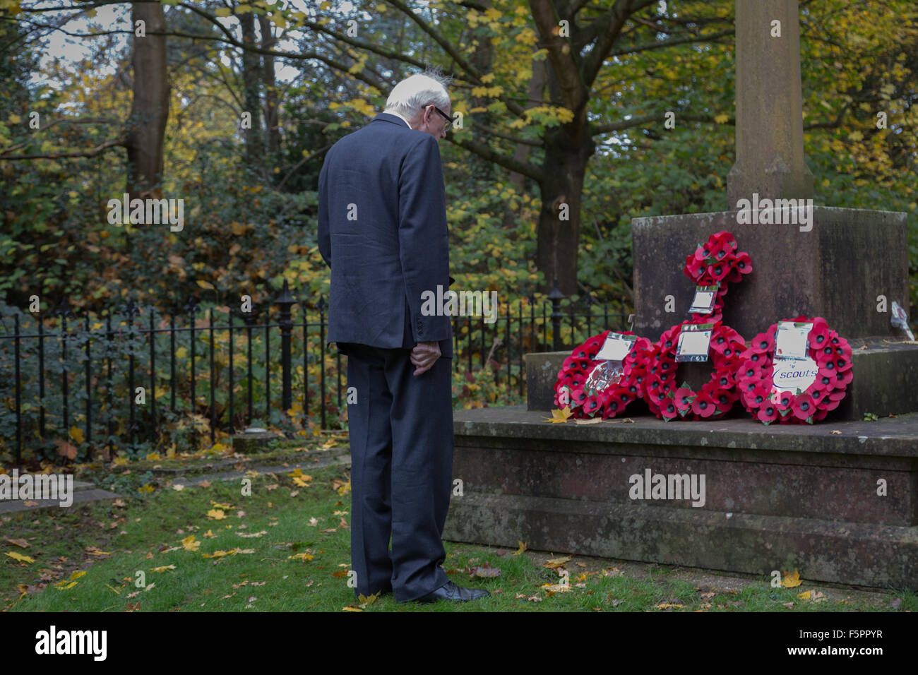 Ham, Surrey, UK. 08th Nov, 2015. An RAF veteran with a walking stick ...