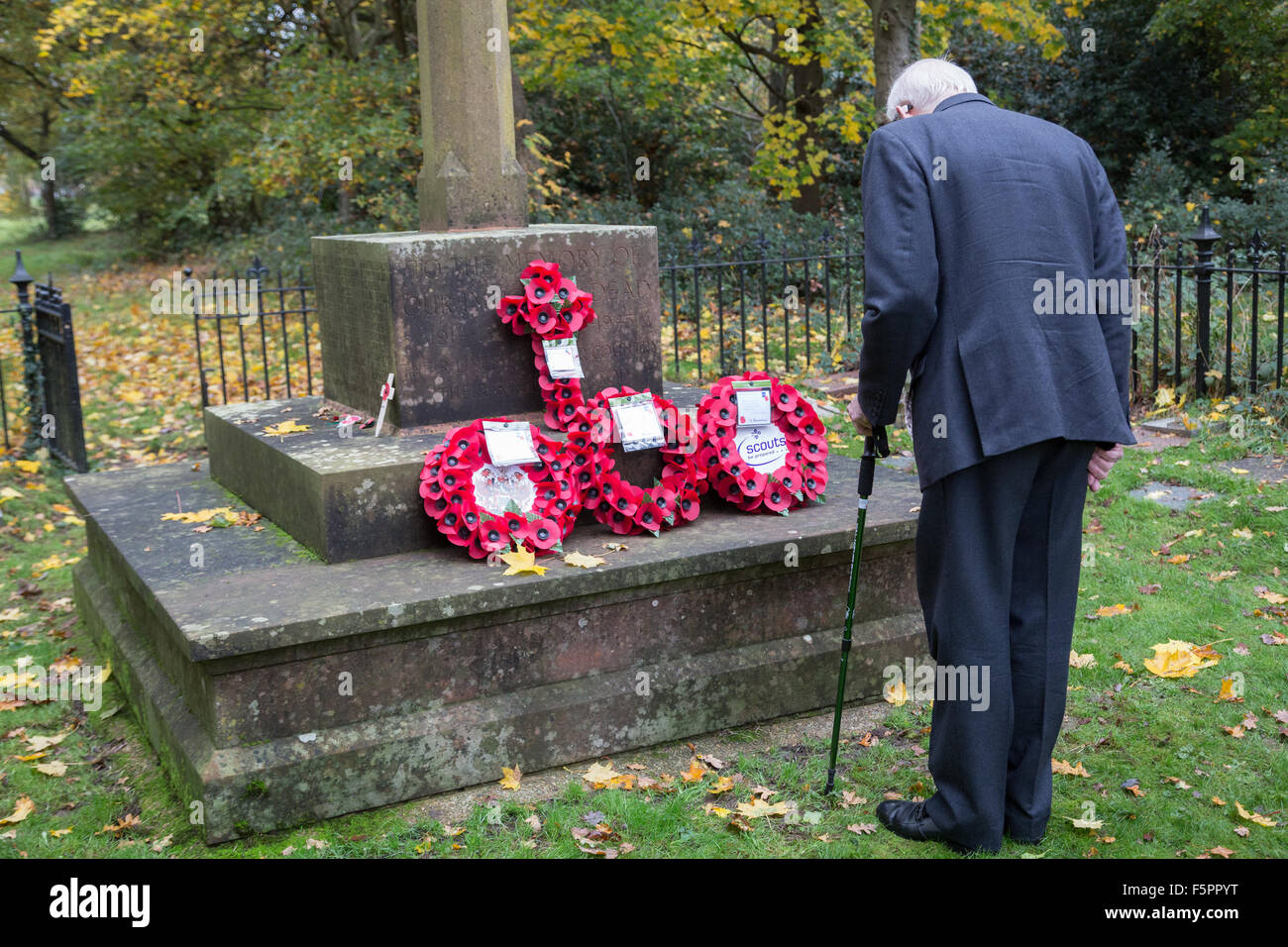 Ham, Surrey, UK. 08th Nov, 2015. An RAF veteran with a walking stick ...