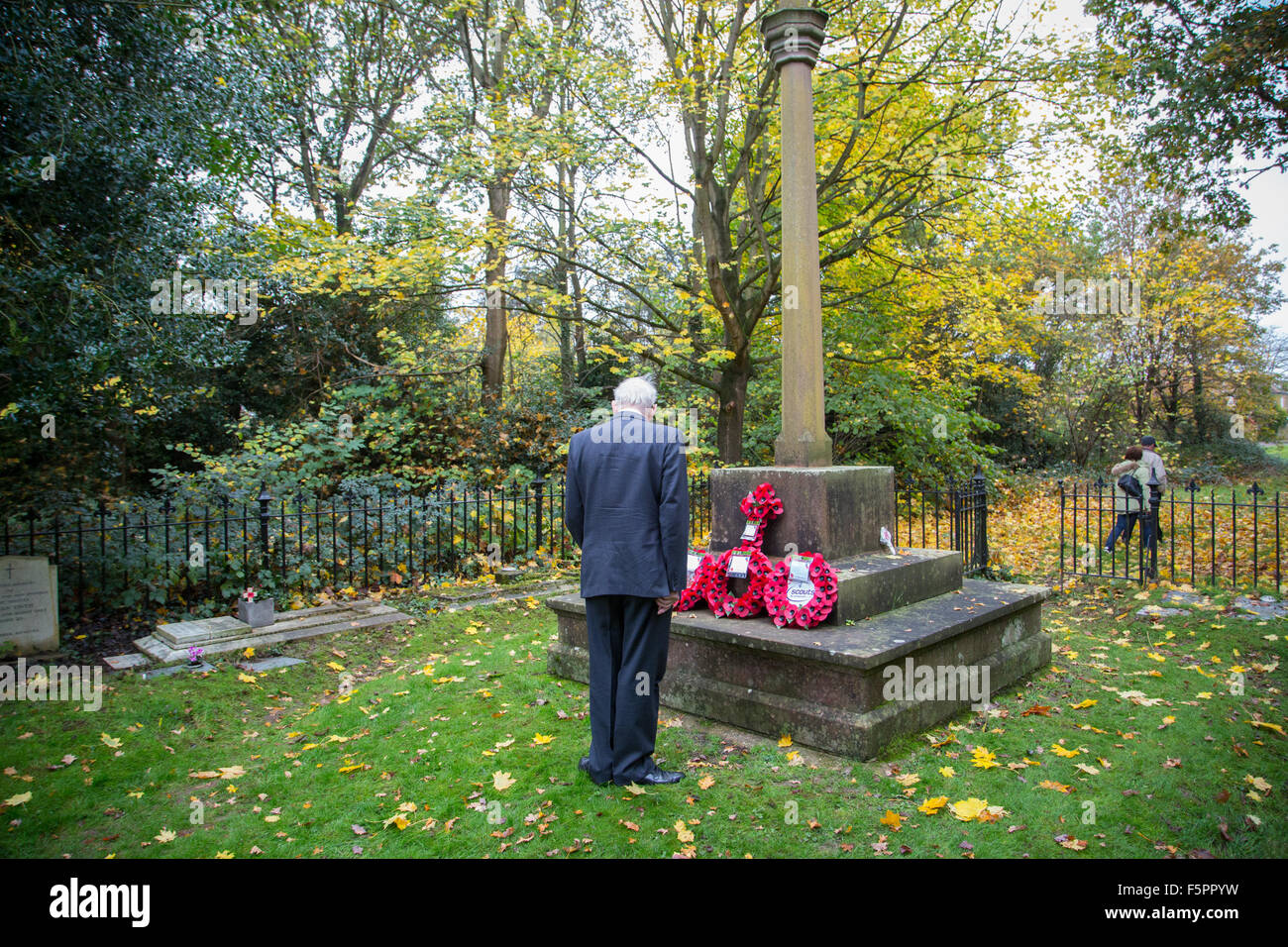 Ham, Surrey, UK. 08th Nov, 2015. An RAF veteran with a walking stick ...