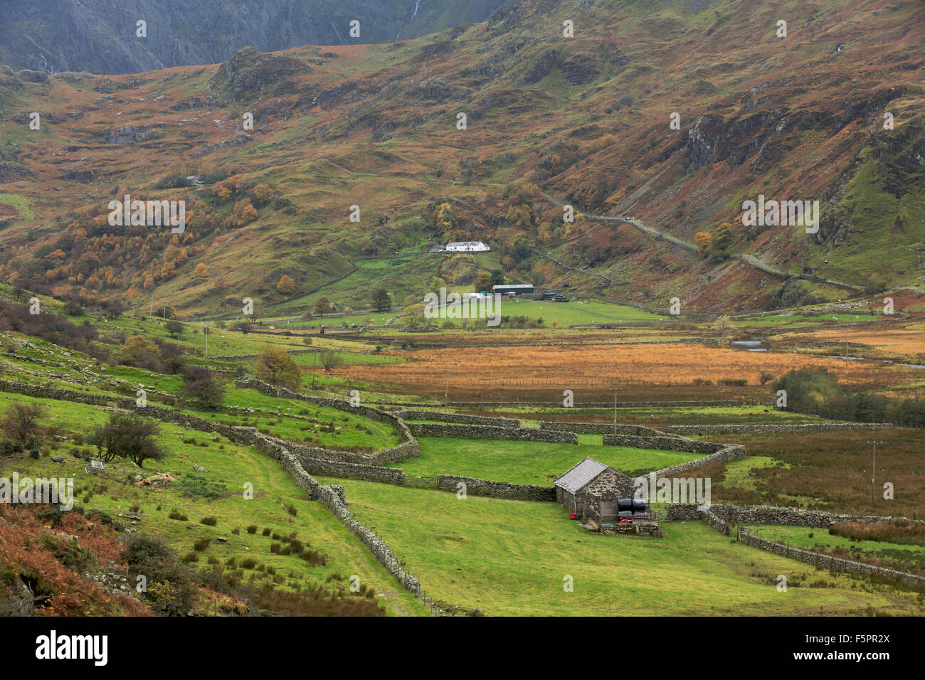 Green valley littered with sheep farms. Rugged countryside surrounding ...