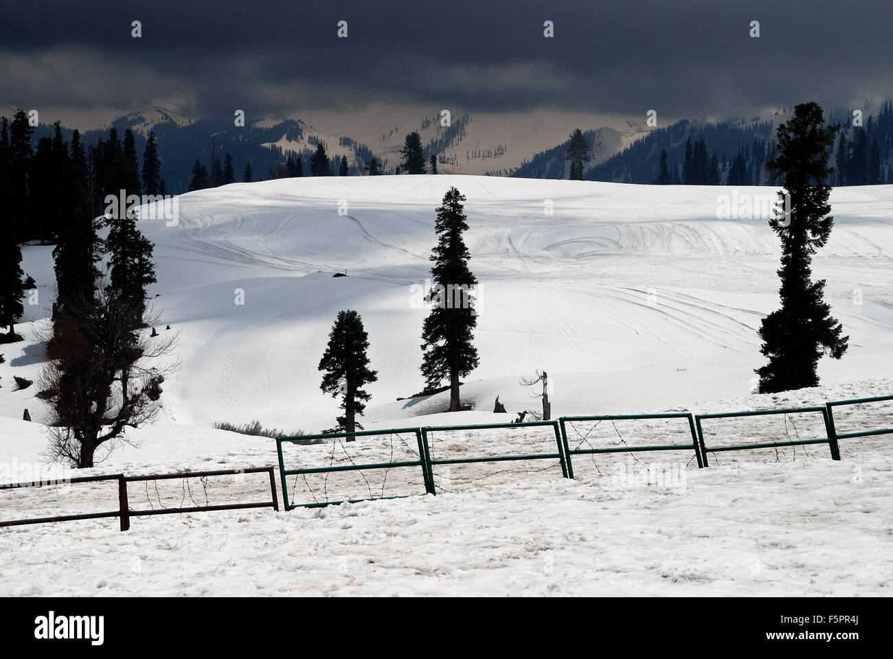 gulmarg kashmir india Stock Photo - Alamy