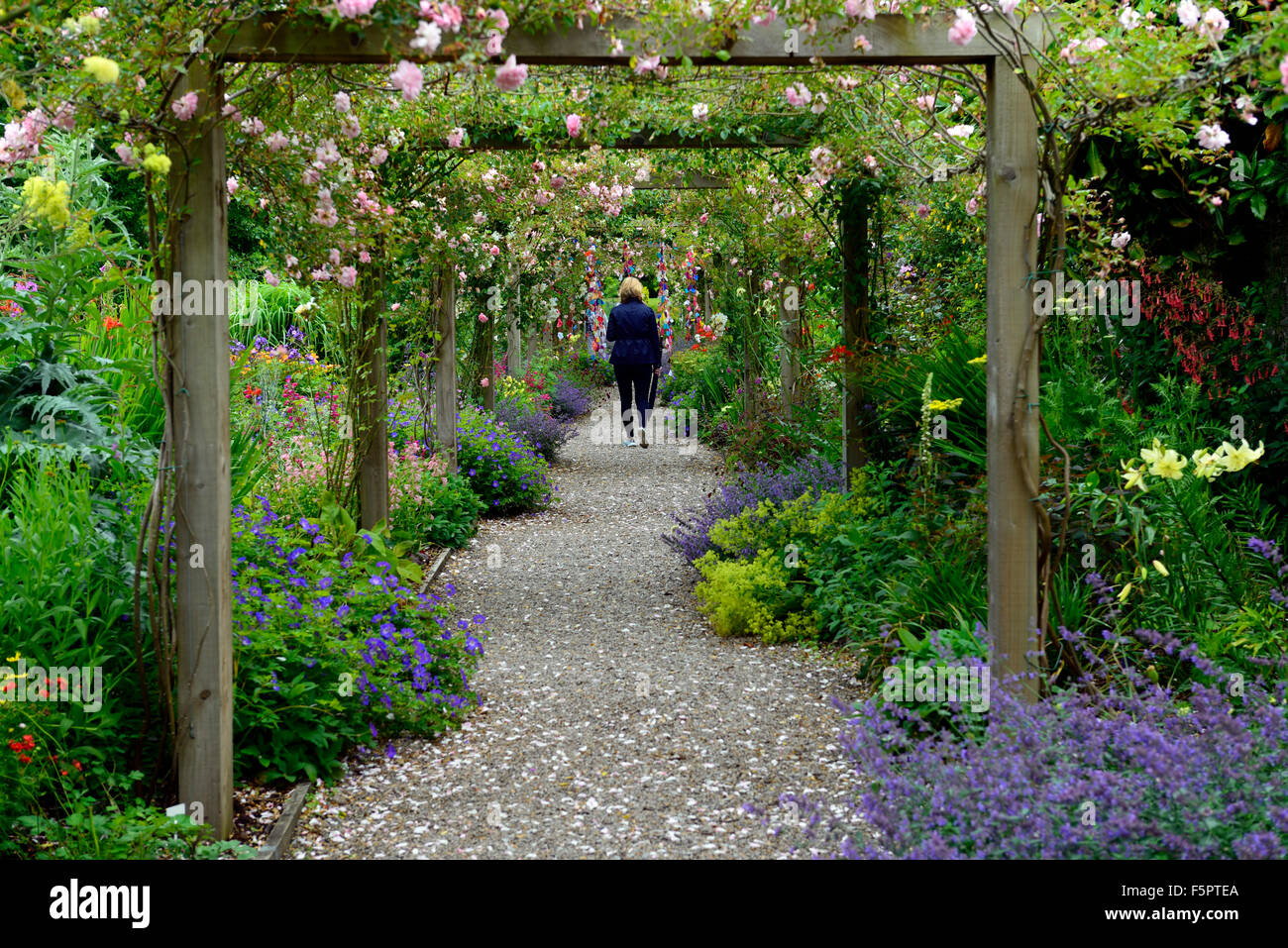 Rose cover covered pergola path walkway woman Blarney castle Cork ...