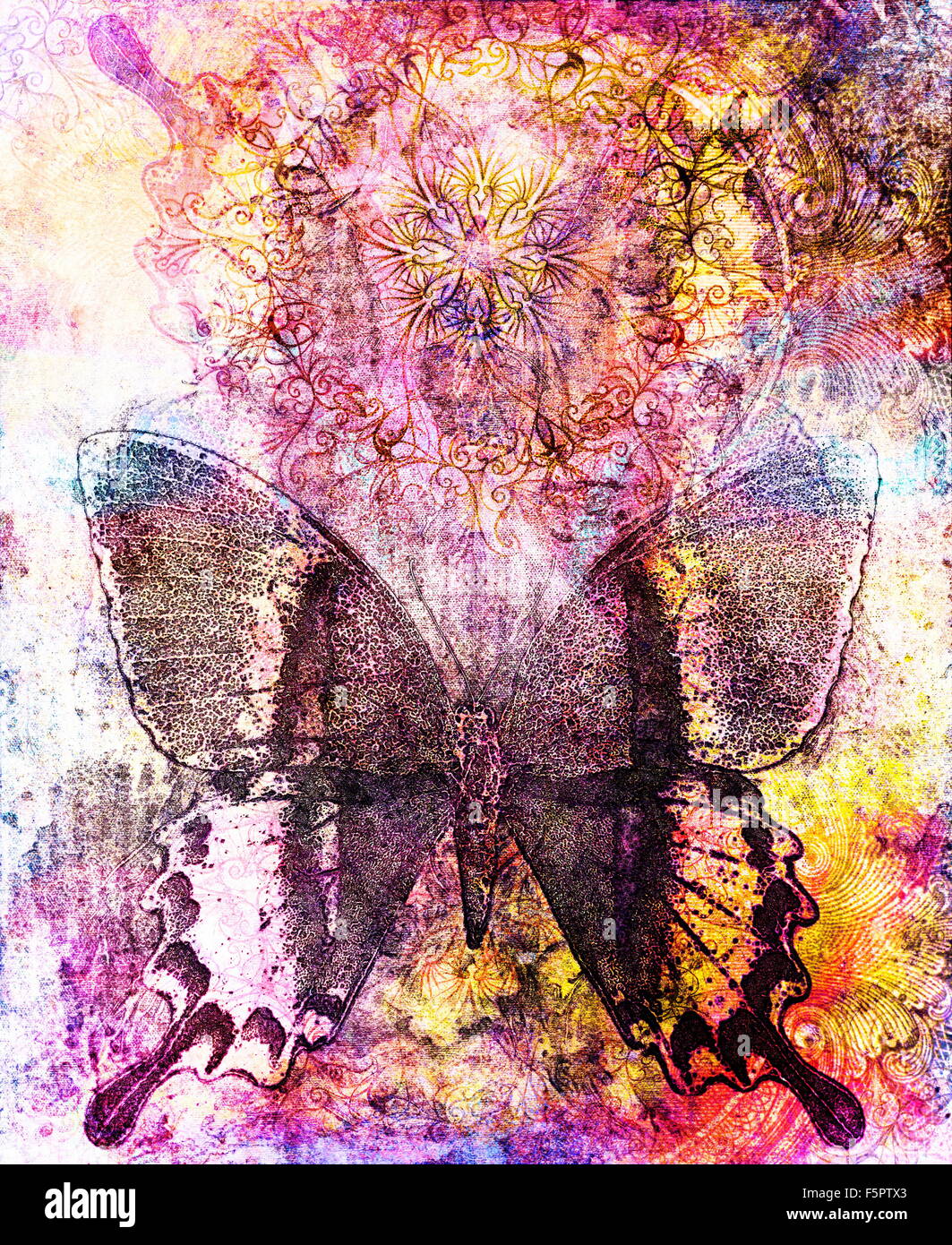 Airbrush butterfly hi-res stock photography and images - Alamy