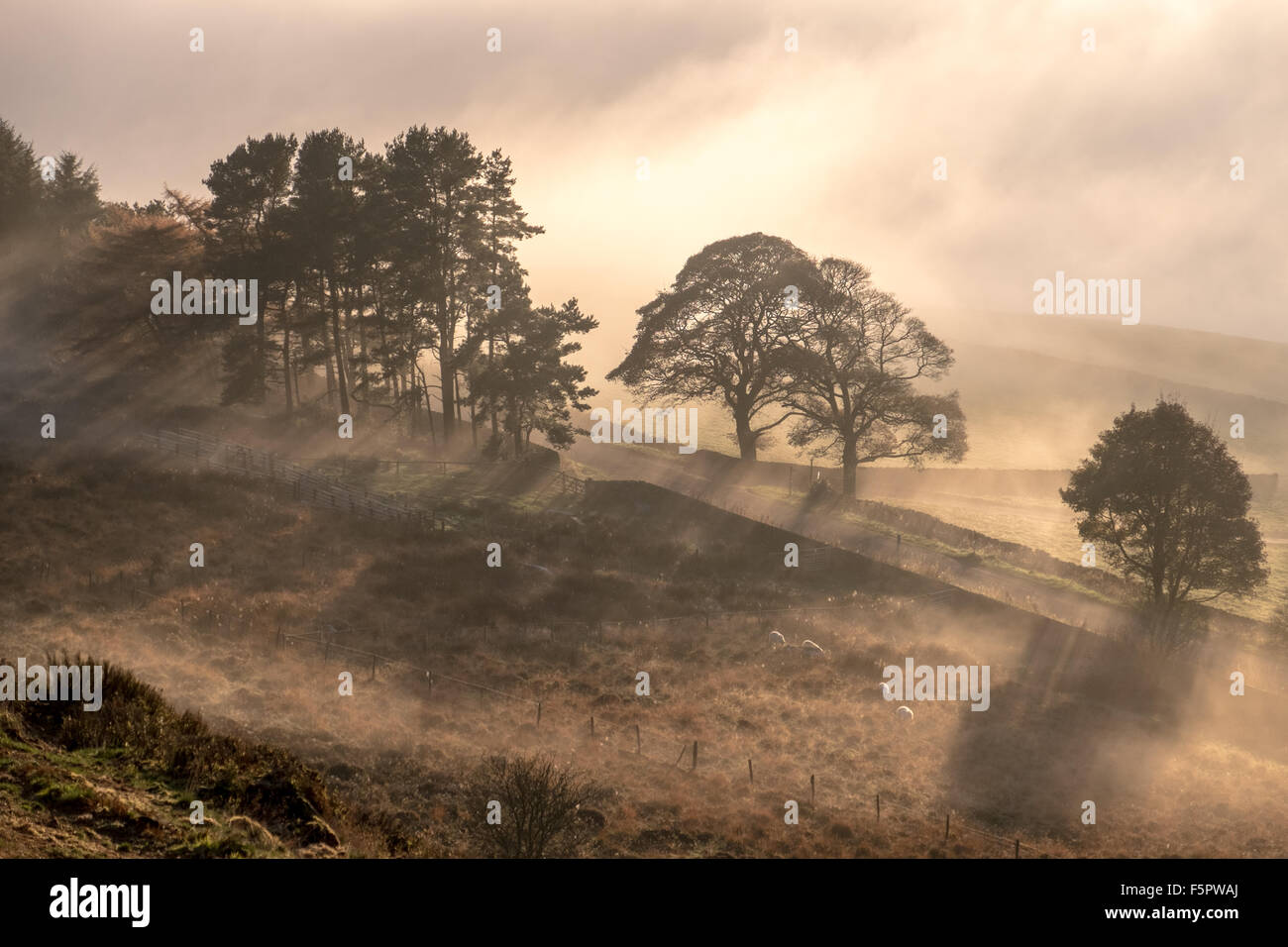 November mist in The Peak District National Park,UK Stock Photo - Alamy