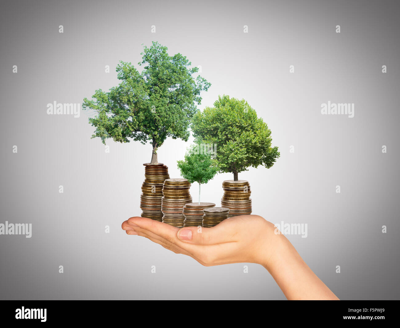 Womans arm holding tree and coins Stock Photo - Alamy