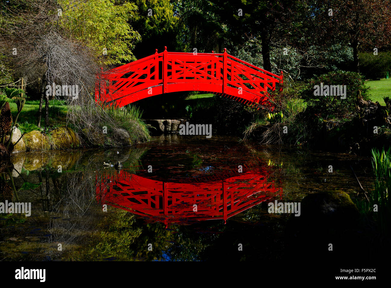 Knockanree Gardens spring red wooden arched bridge Chinese Asian ...