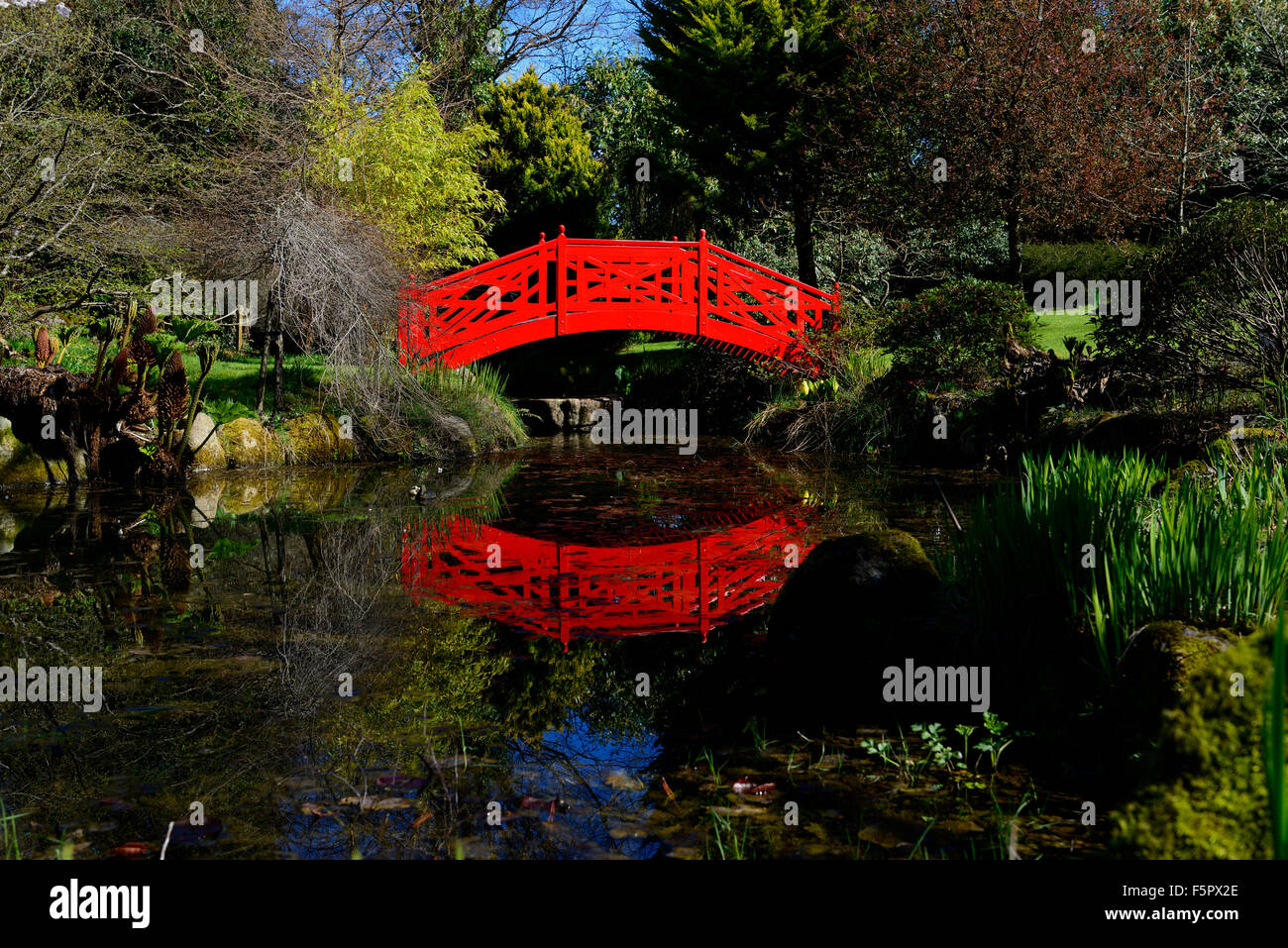 Knockanree Gardens spring red wooden arched bridge Chinese Asian ...
