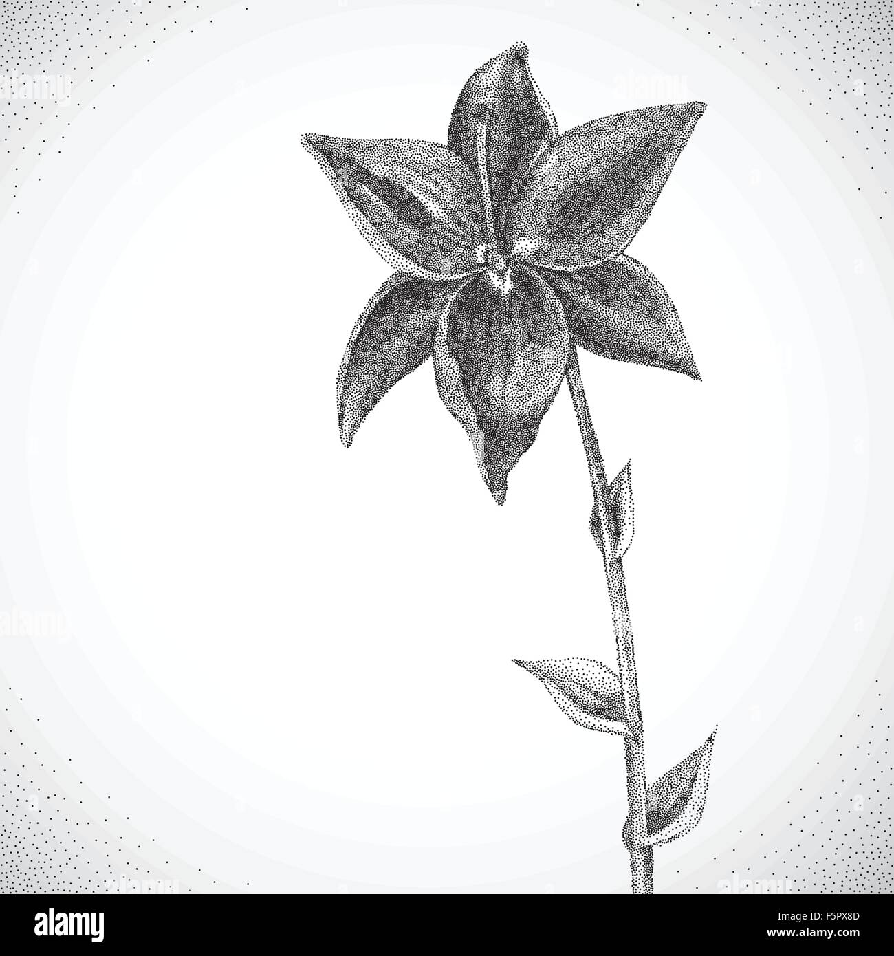 Flower. Black and white Dotwork Stock Vector Image & Art - Alamy