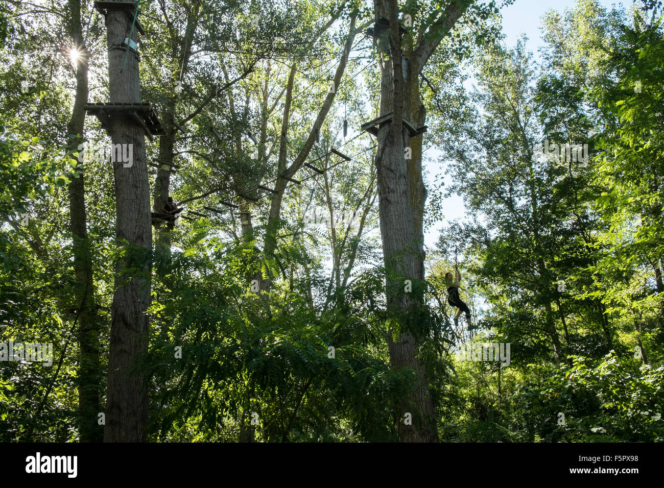 Tree,top,treetop,obstacle,course,At,Accro Parc, zipline,wire,Alet les ...