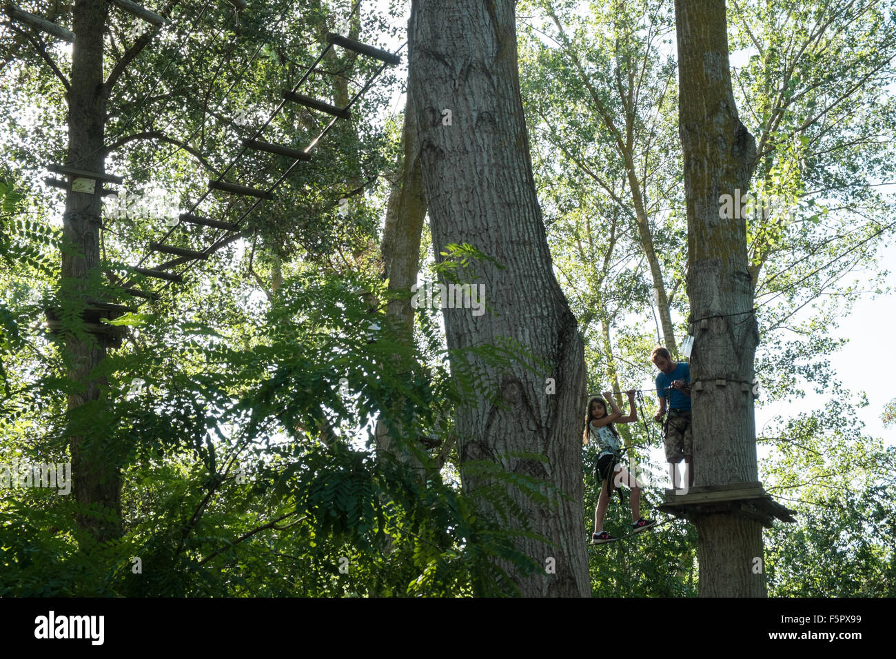 Tree,top,treetop,obstacle,course,At,Accro Parc, zipline,wire,Alet les ...