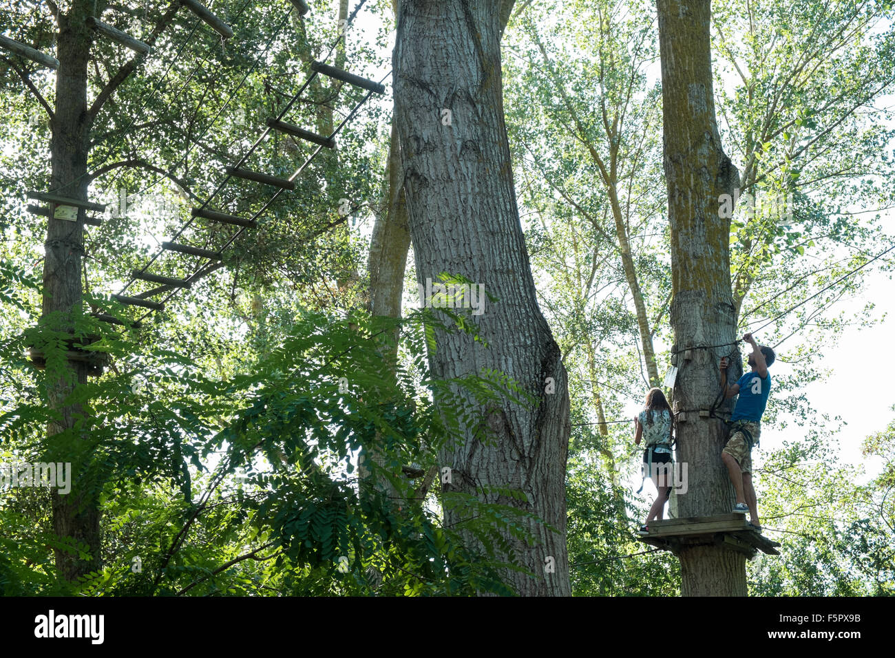 Tree,top,treetop,obstacle,course,At,Accro Parc, zipline,wire,Alet les ...