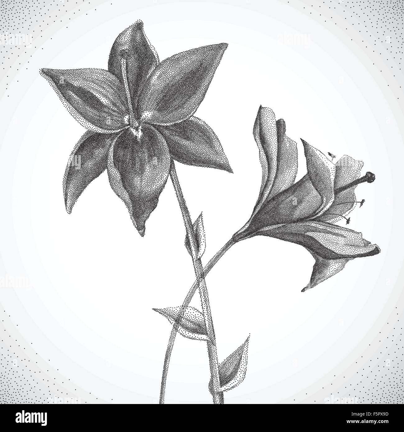 Flower. Black and white Dotwork Stock Vector Image & Art - Alamy